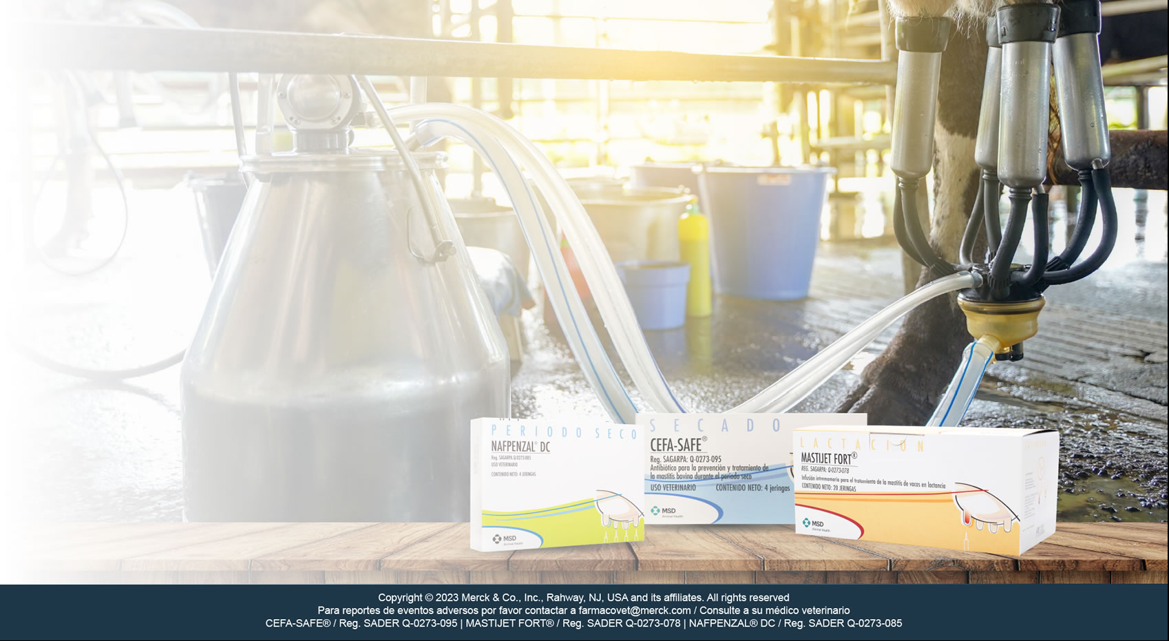 Calidad de la Leche - maxileche-com